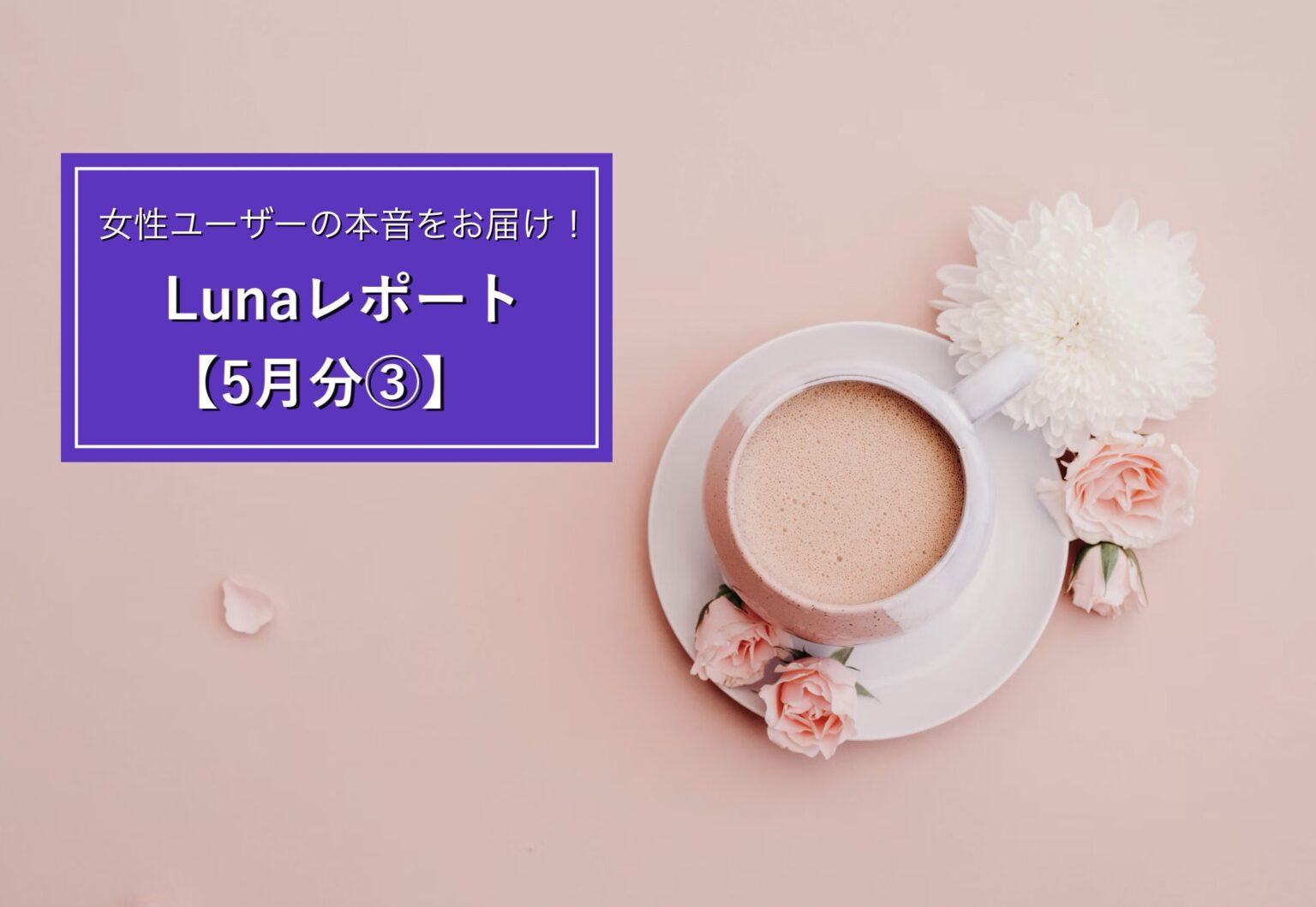 Luna SMガイド | SMについて学ぶならまずはここから